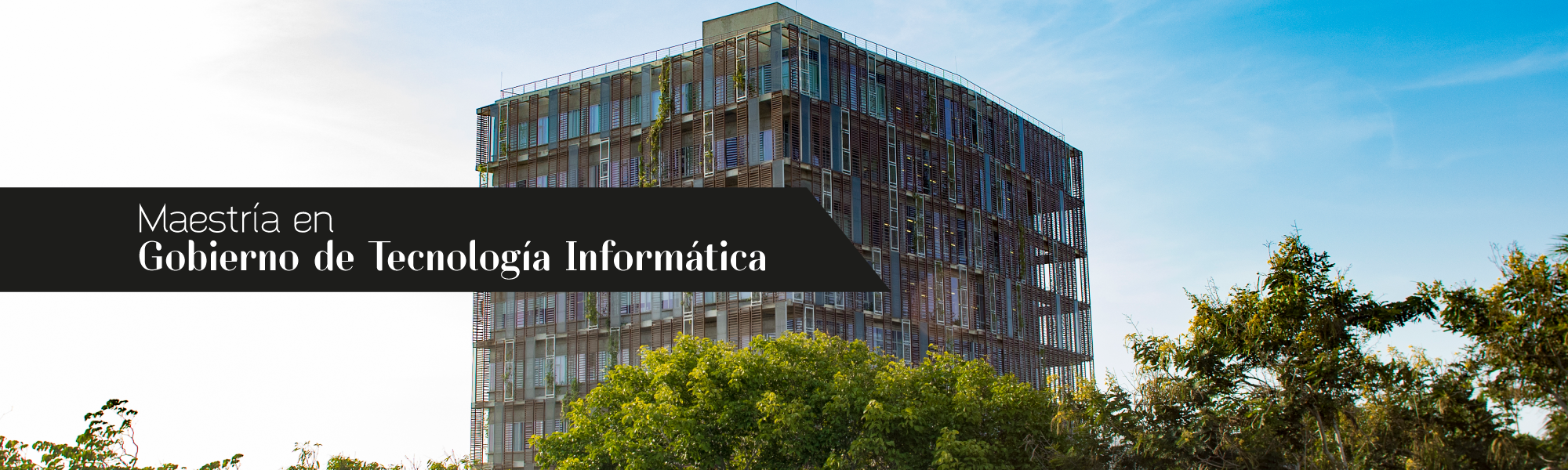 Maestría - Maestría en Gobierno de Tecnología Informática - Modalidad ...