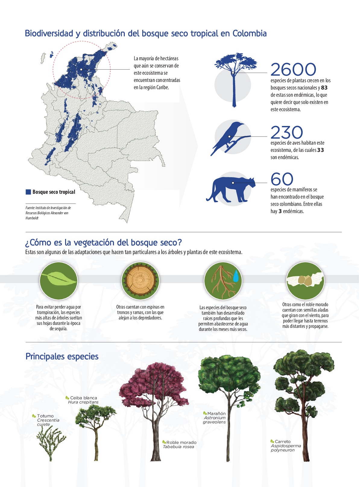 Plantas Y Animales Del Bosque Seco Tropical